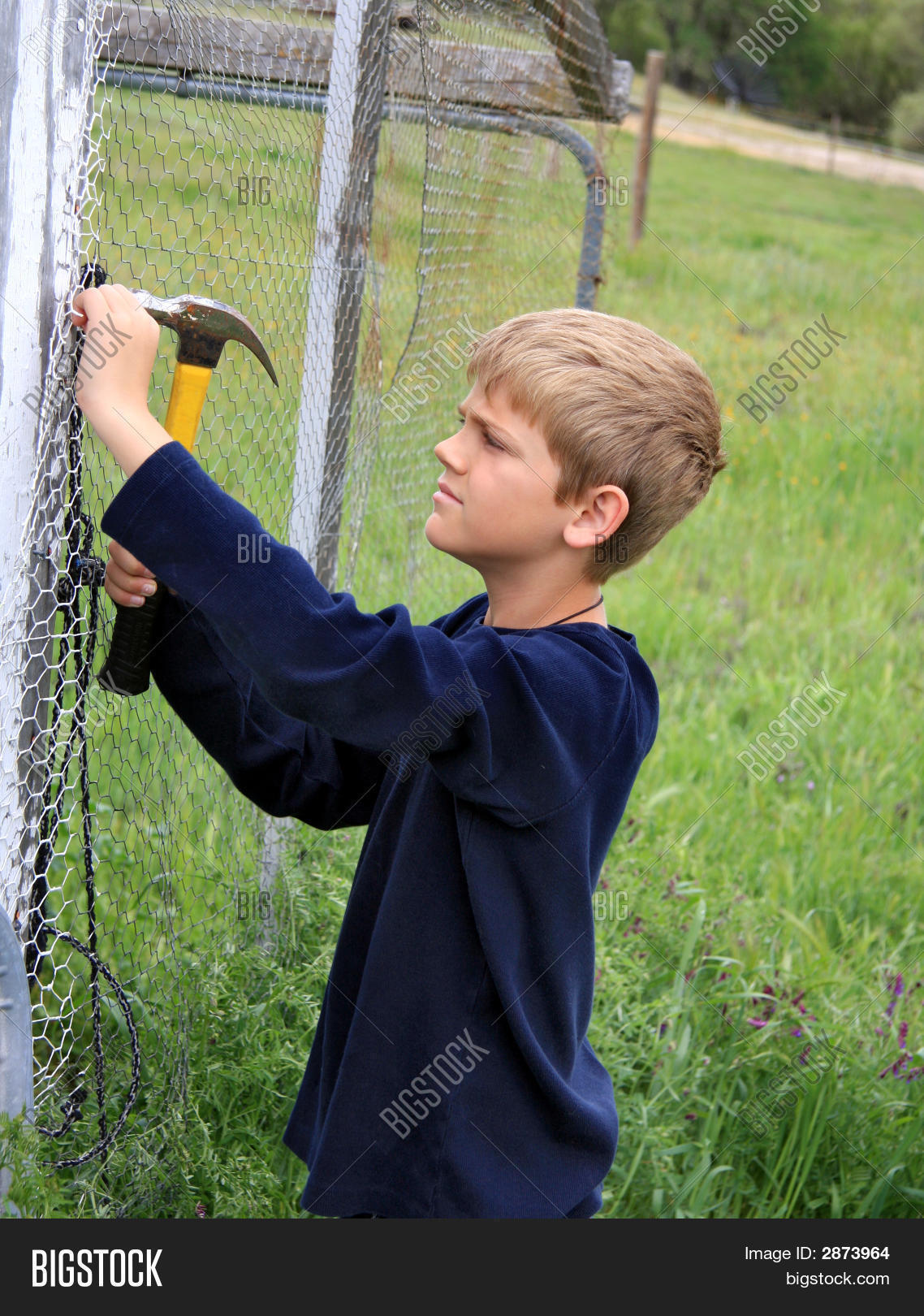 Building Chicken Coop Image And Photo Free Trial Bigstock