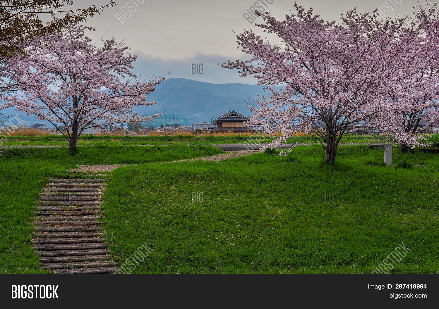 Japanese Country Side Image & Photo (Free Trial) | Bigstock