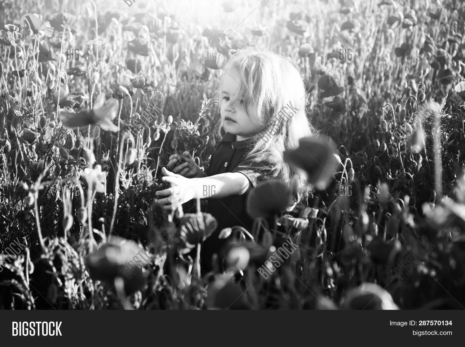 Field Flower Child Image & Photo (Free Trial) | Bigstock
