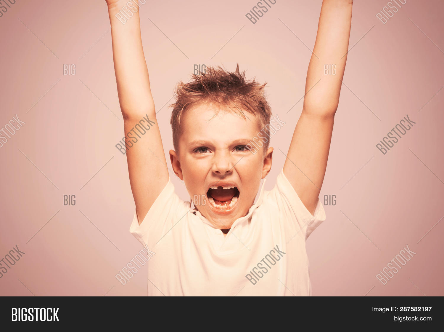 Angry Toothless Image & Photo (Free Trial) | Bigstock
