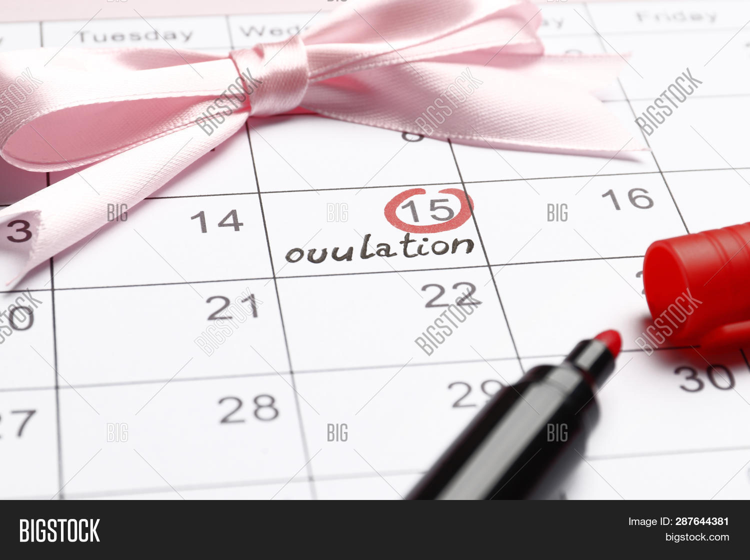 Circling Date 15th Day Image & Photo (Free Trial) | Bigstock