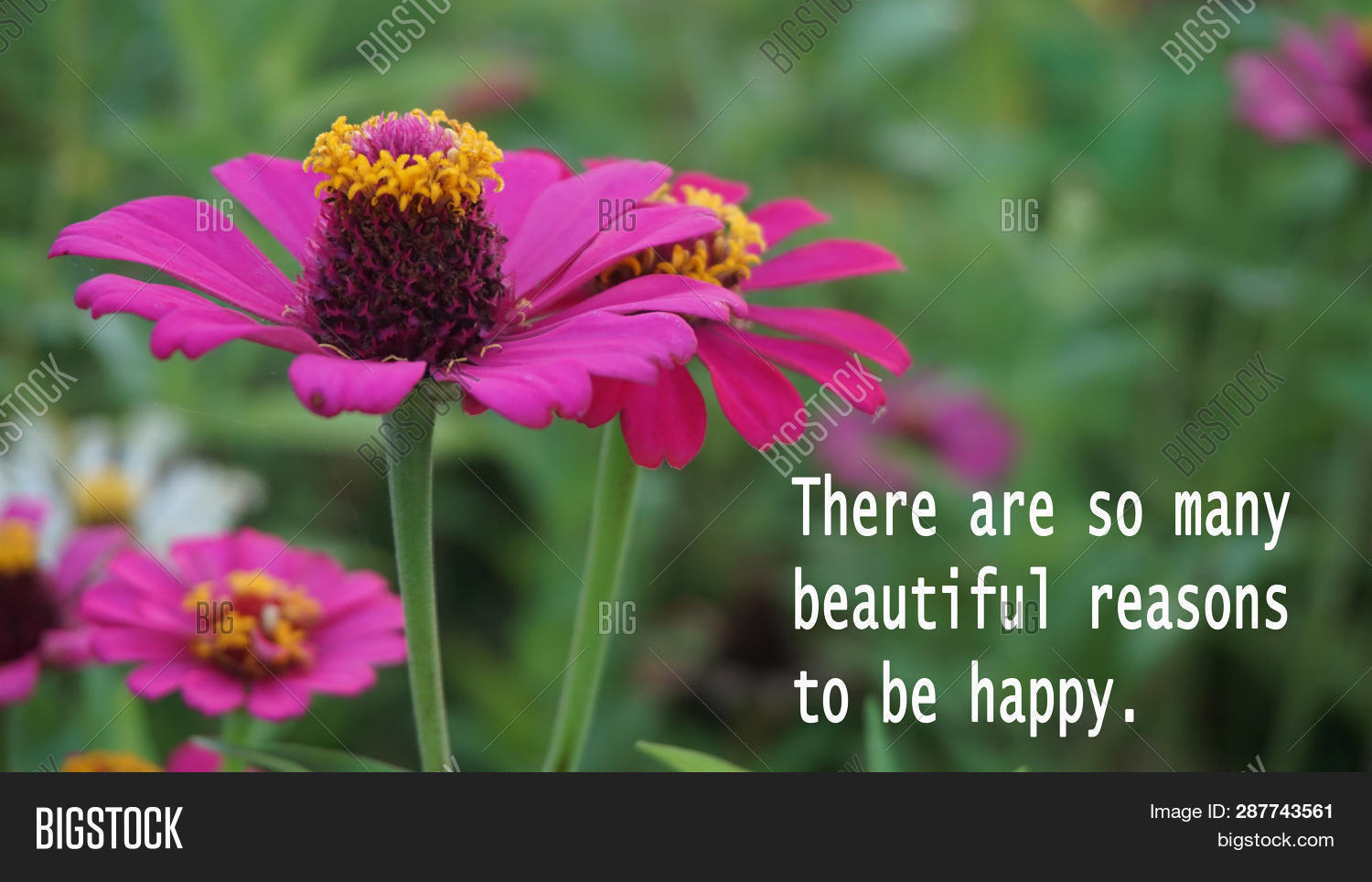 Inspirational Image & Photo (Free Trial) | Bigstock