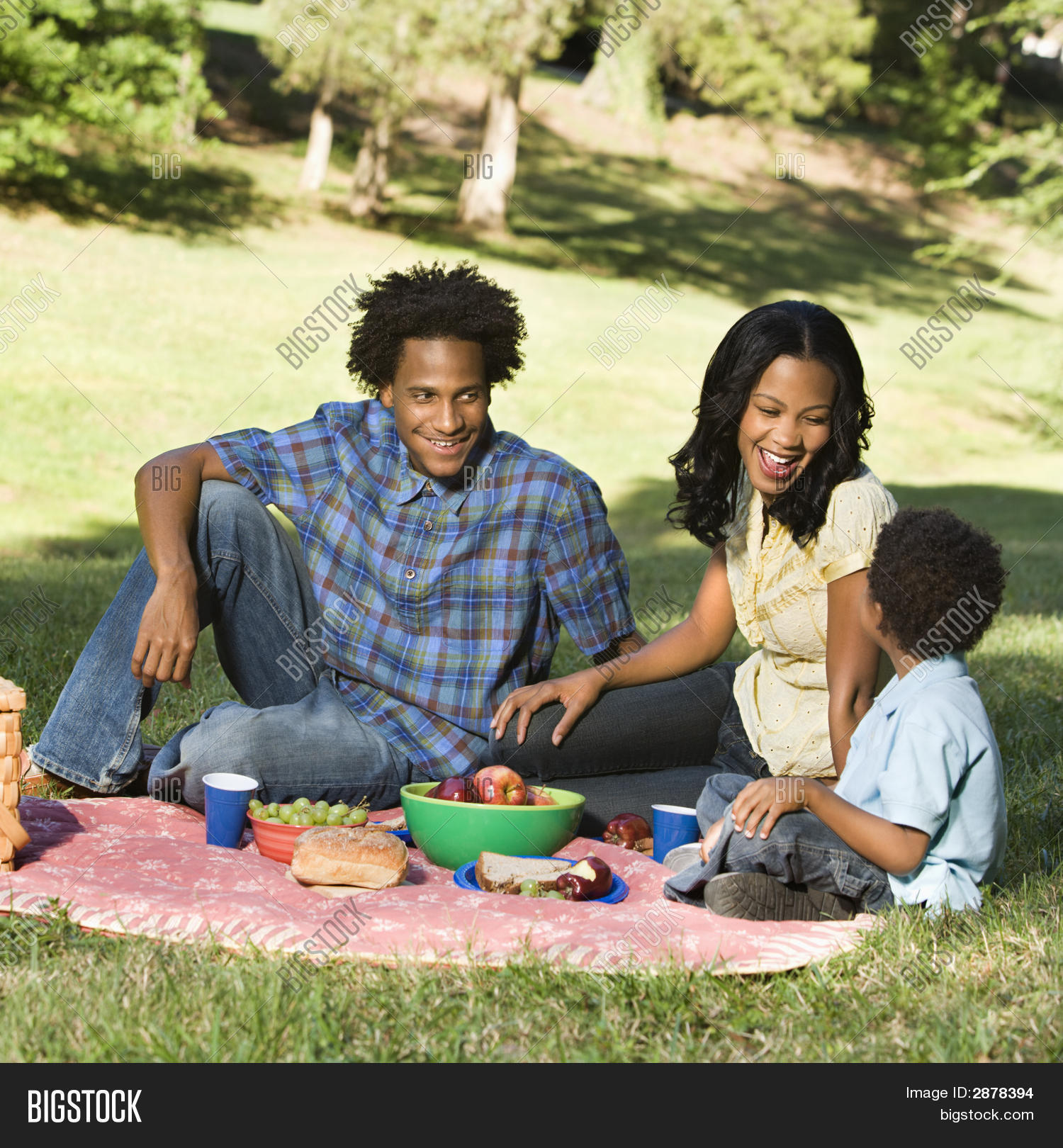 Family Picnic Image & Photo (Free Trial) | Bigstock