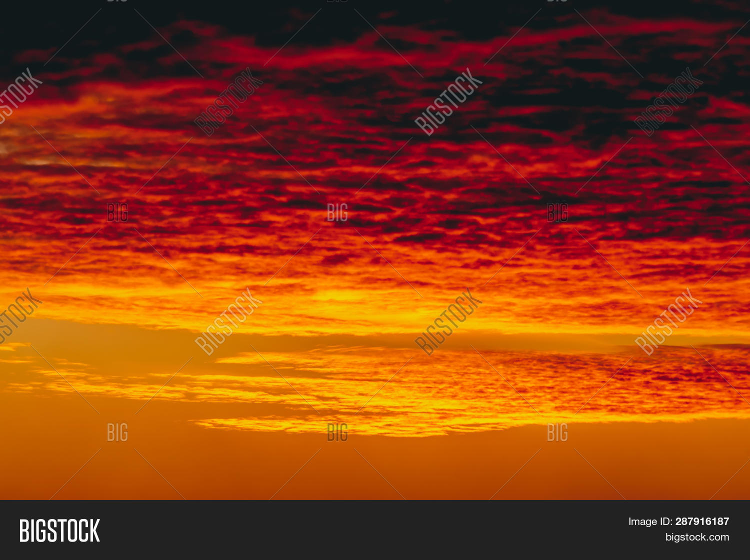 Fiery Red Blood Image & Photo (Free Trial) | Bigstock