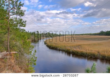 Marsh Image & Photo (Free Trial) | Bigstock