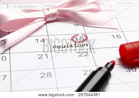 Circling Date 15th Day Image & Photo (Free Trial) | Bigstock