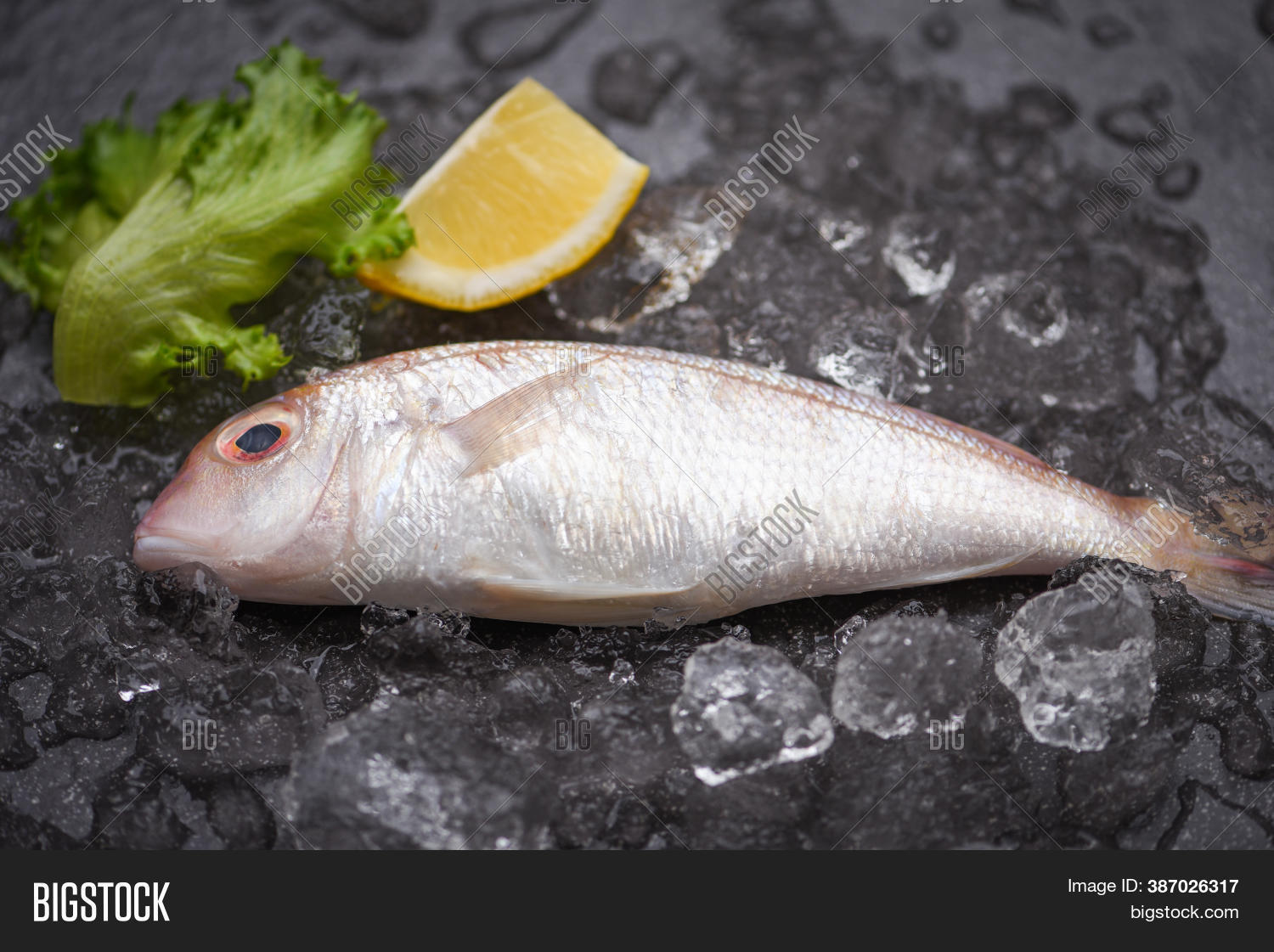 Fresh Raw Fish Image & Photo (Free Trial) | Bigstock
