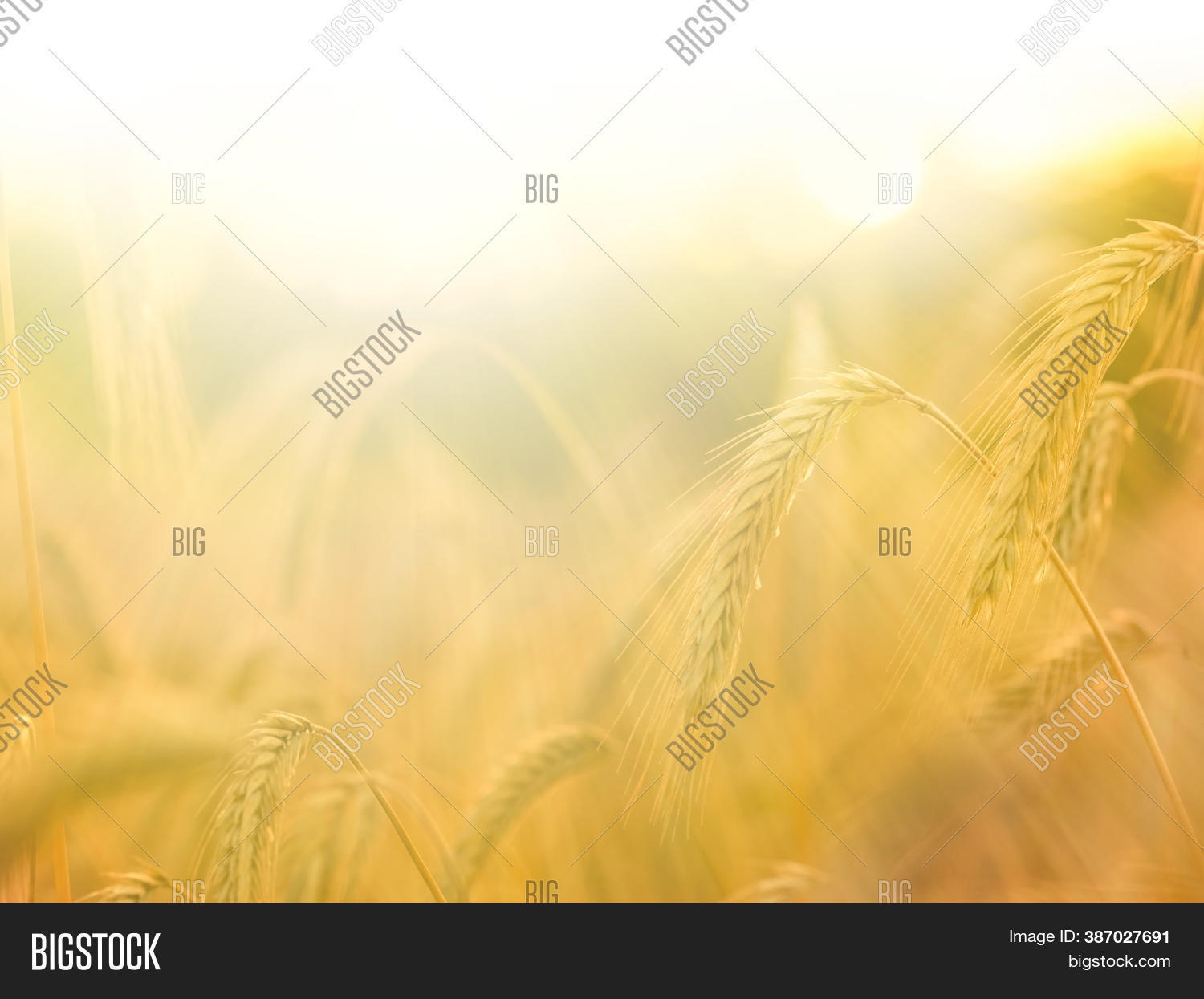 Colorful Natural Warm Image & Photo (Free Trial) | Bigstock