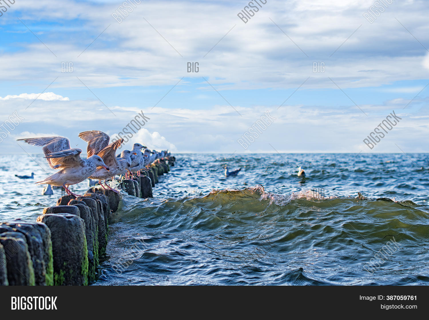 Landscape Polish Sea Image & Photo (Free Trial) | Bigstock