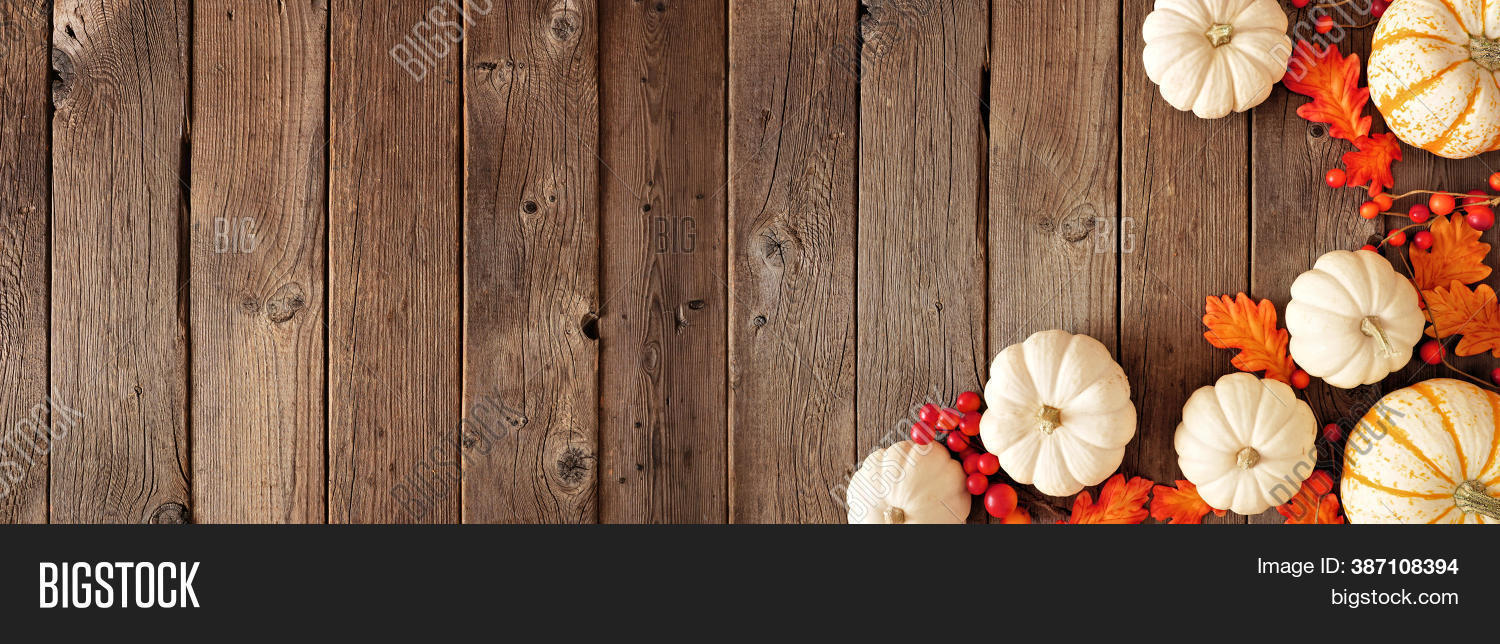Autumn Corner Border Image & Photo (Free Trial) | Bigstock