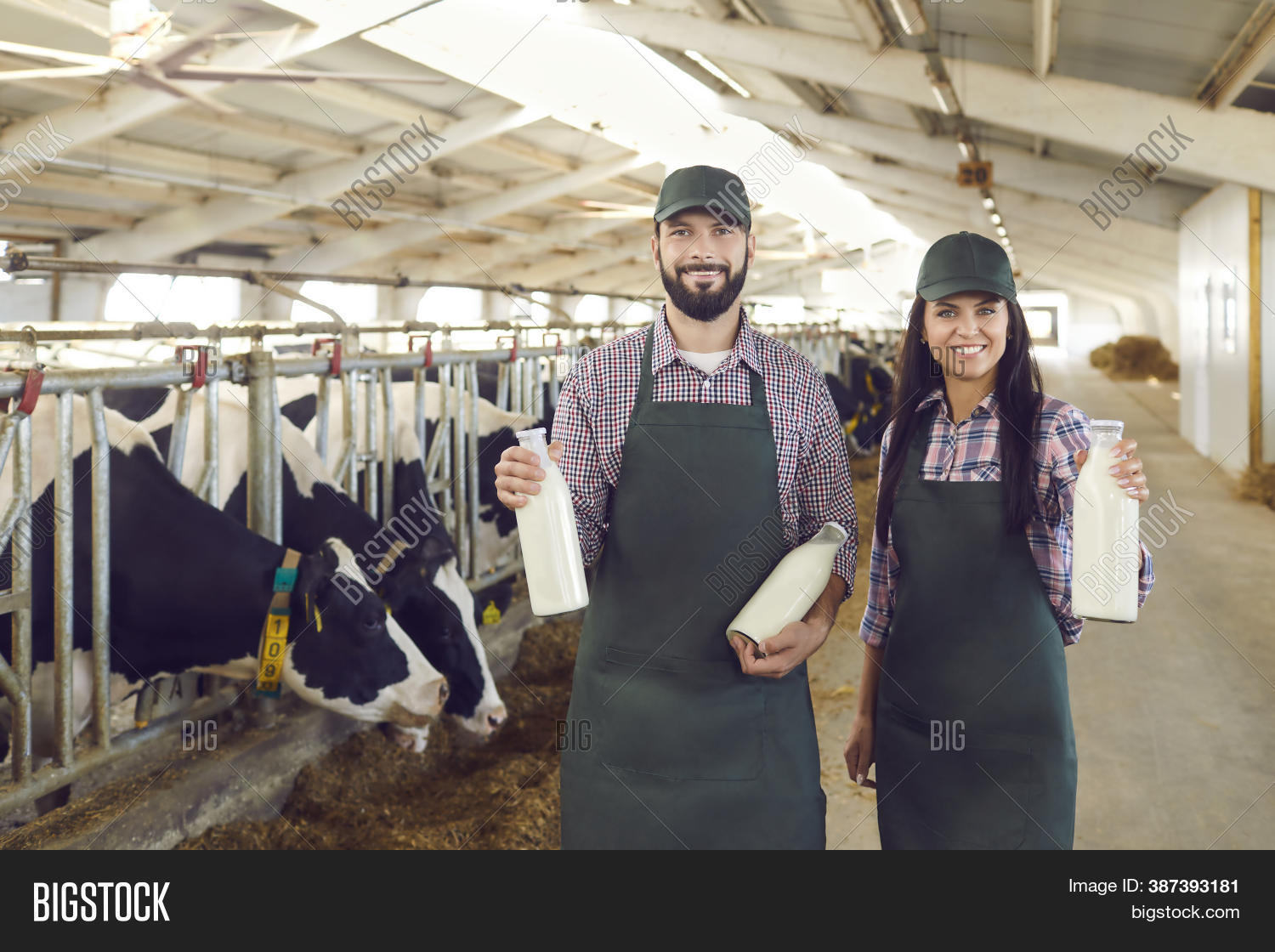 Happy Dairy Farm Image & Photo (Free Trial) | Bigstock