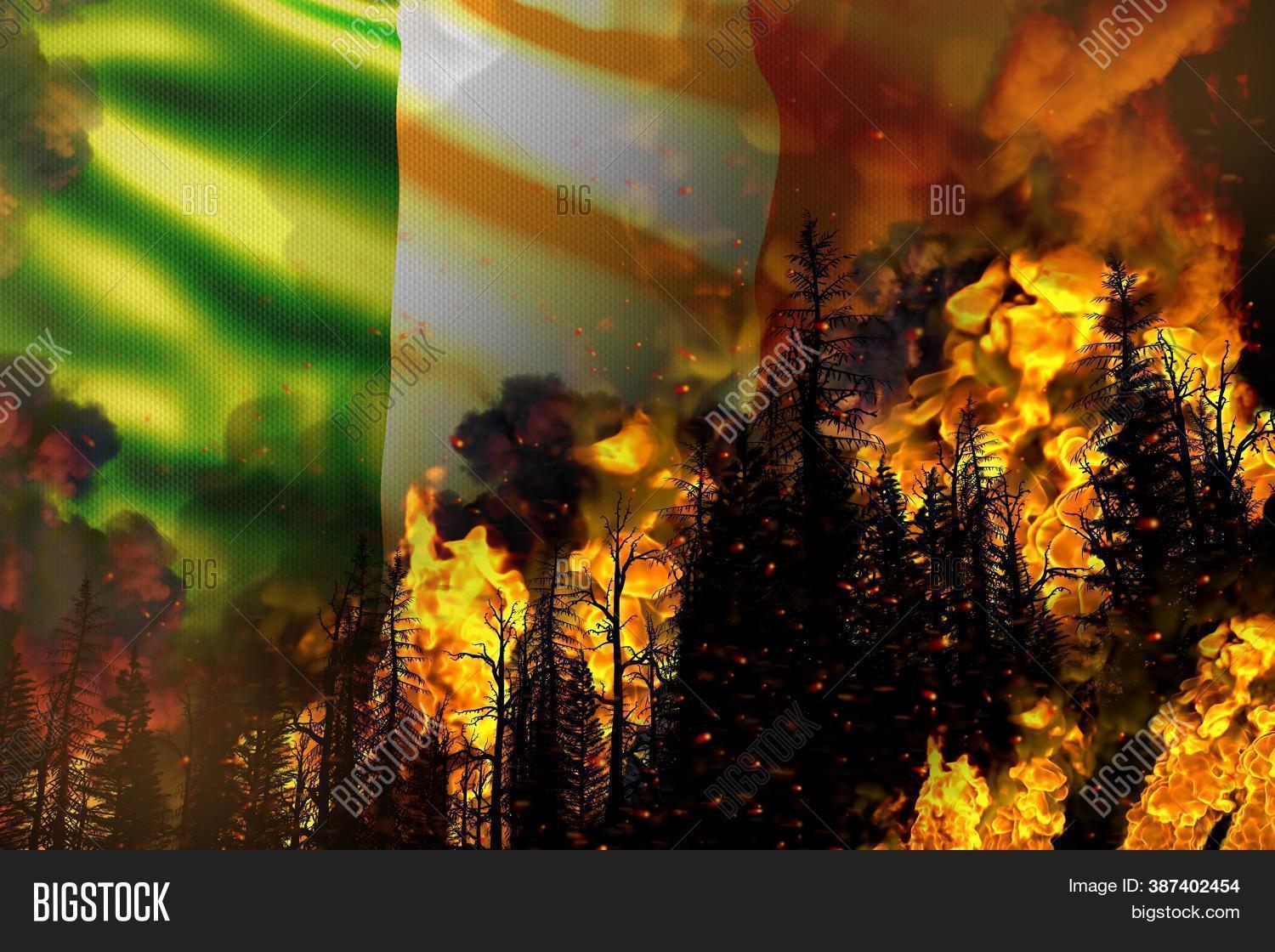 Big Forest Fire Fight Image & Photo (Free Trial) | Bigstock