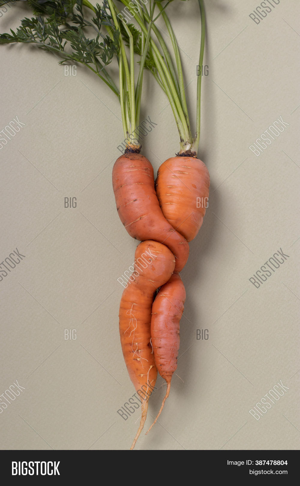 Ugly Fresh Carrot On Image & Photo (Free Trial) | Bigstock