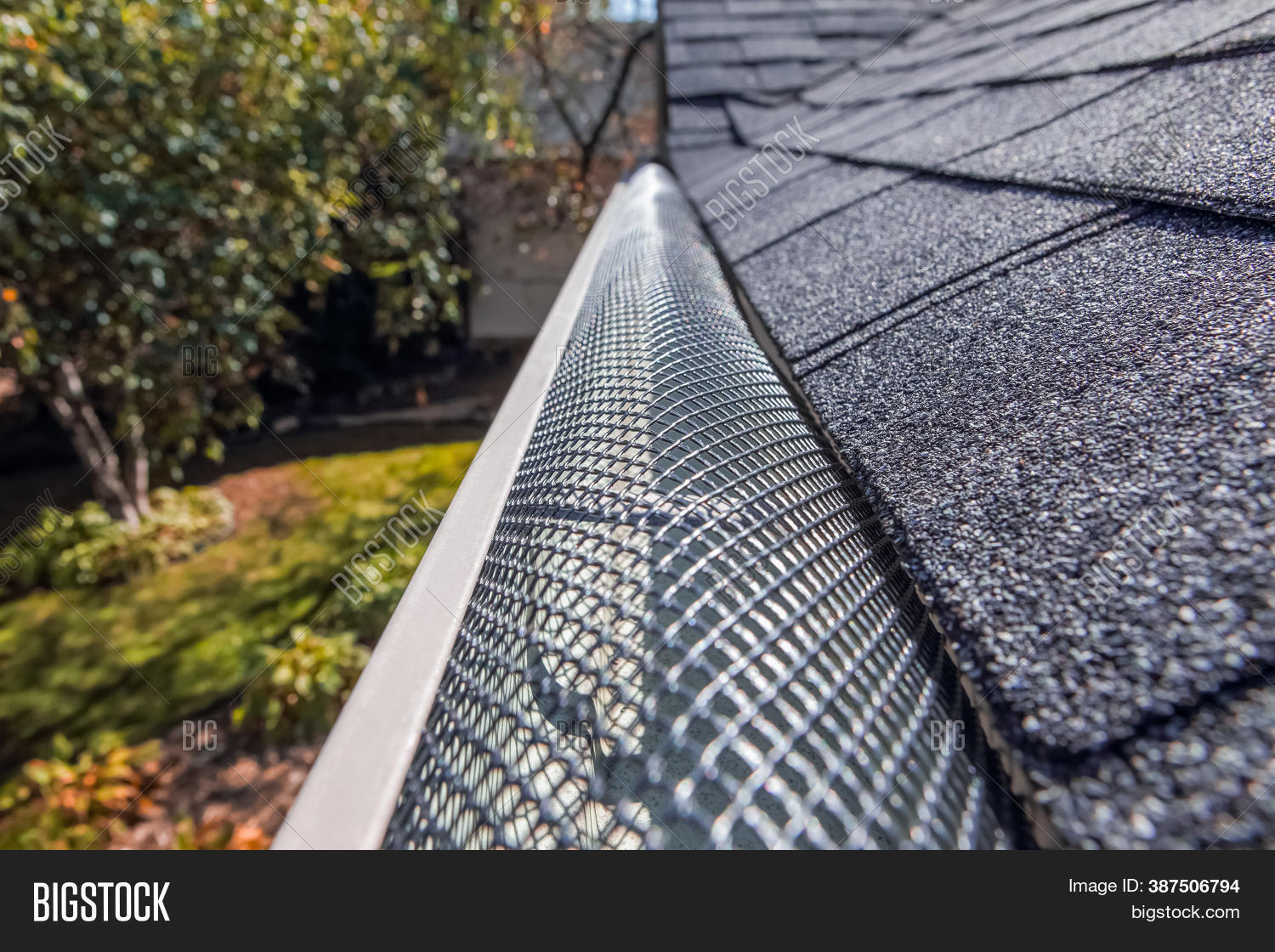 Plastic Guard Over Image & Photo (Free Trial) | Bigstock