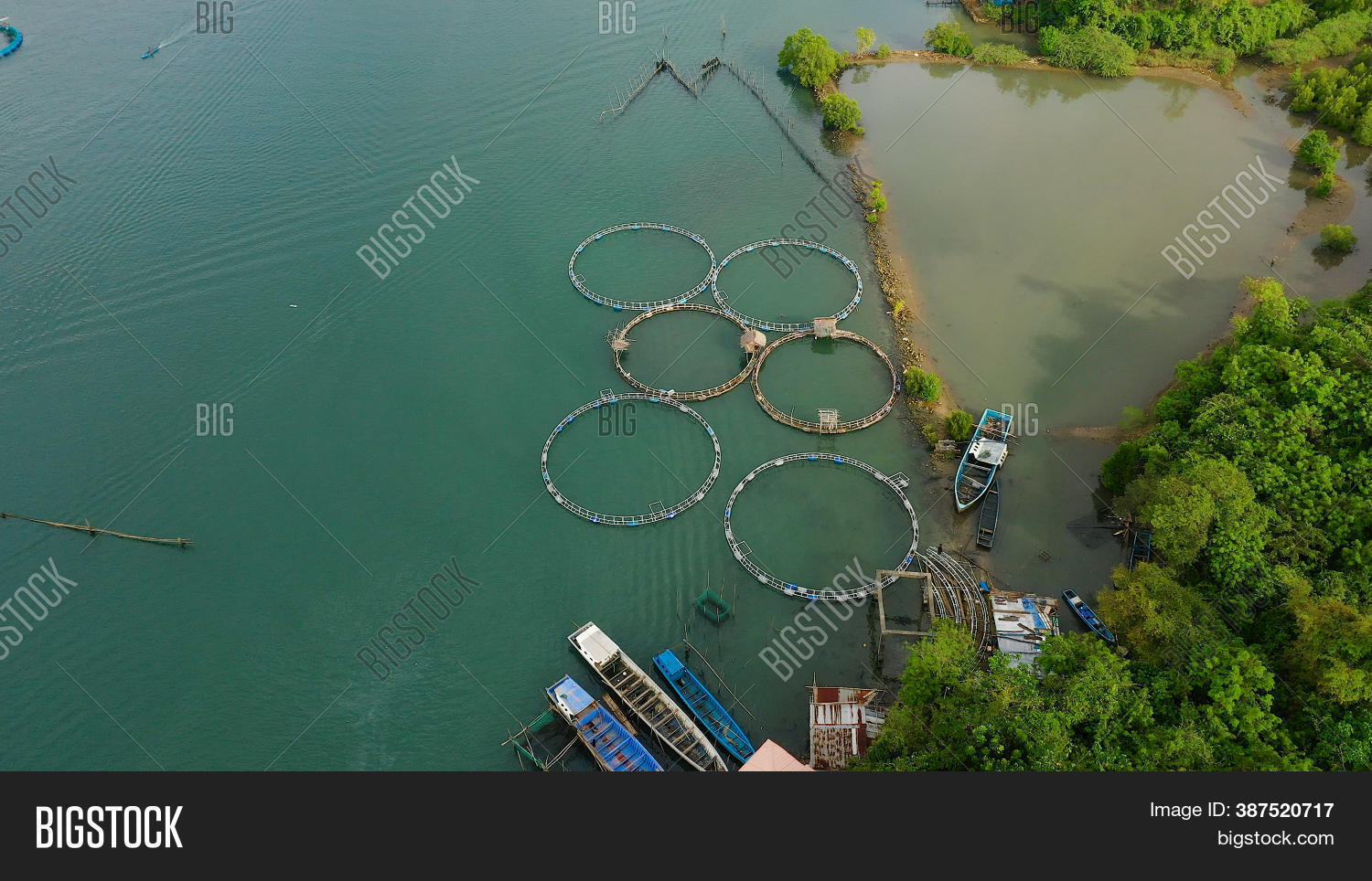 Fishing Industry. Fish Image & Photo (Free Trial) | Bigstock