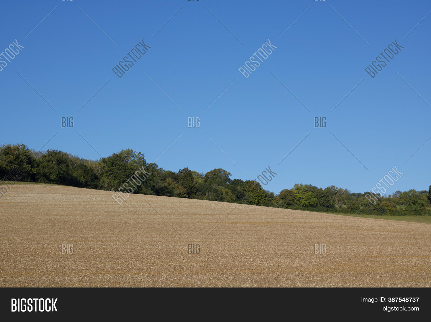 Rolling English Image & Photo (Free Trial) | Bigstock