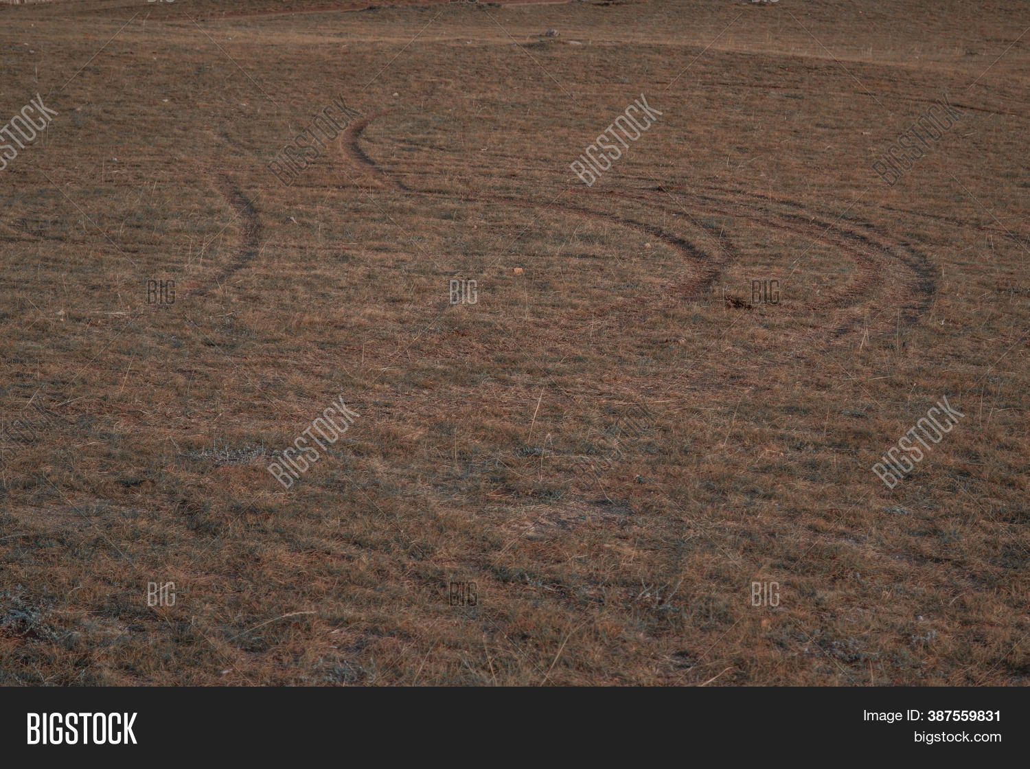 Wheel Tracks Car On Image & Photo (Free Trial) | Bigstock