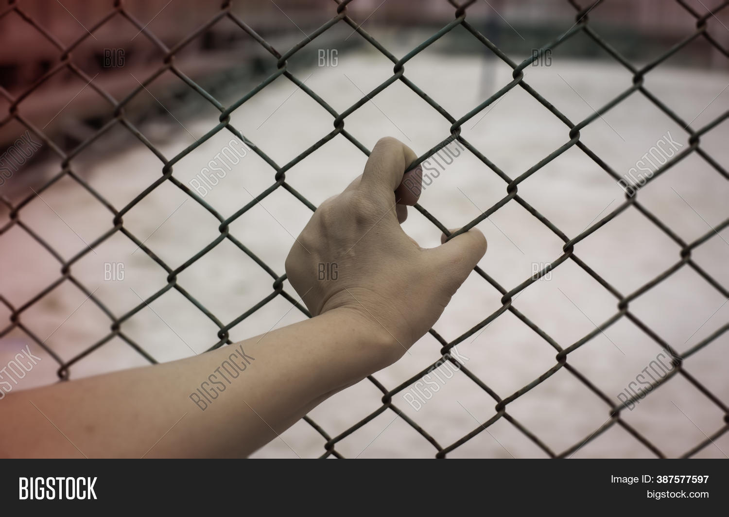 Human Hand Touch On Image & Photo (Free Trial) | Bigstock