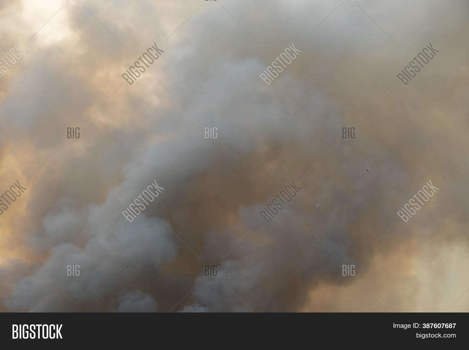 Smoke Pattern Image & Photo (Free Trial) | Bigstock