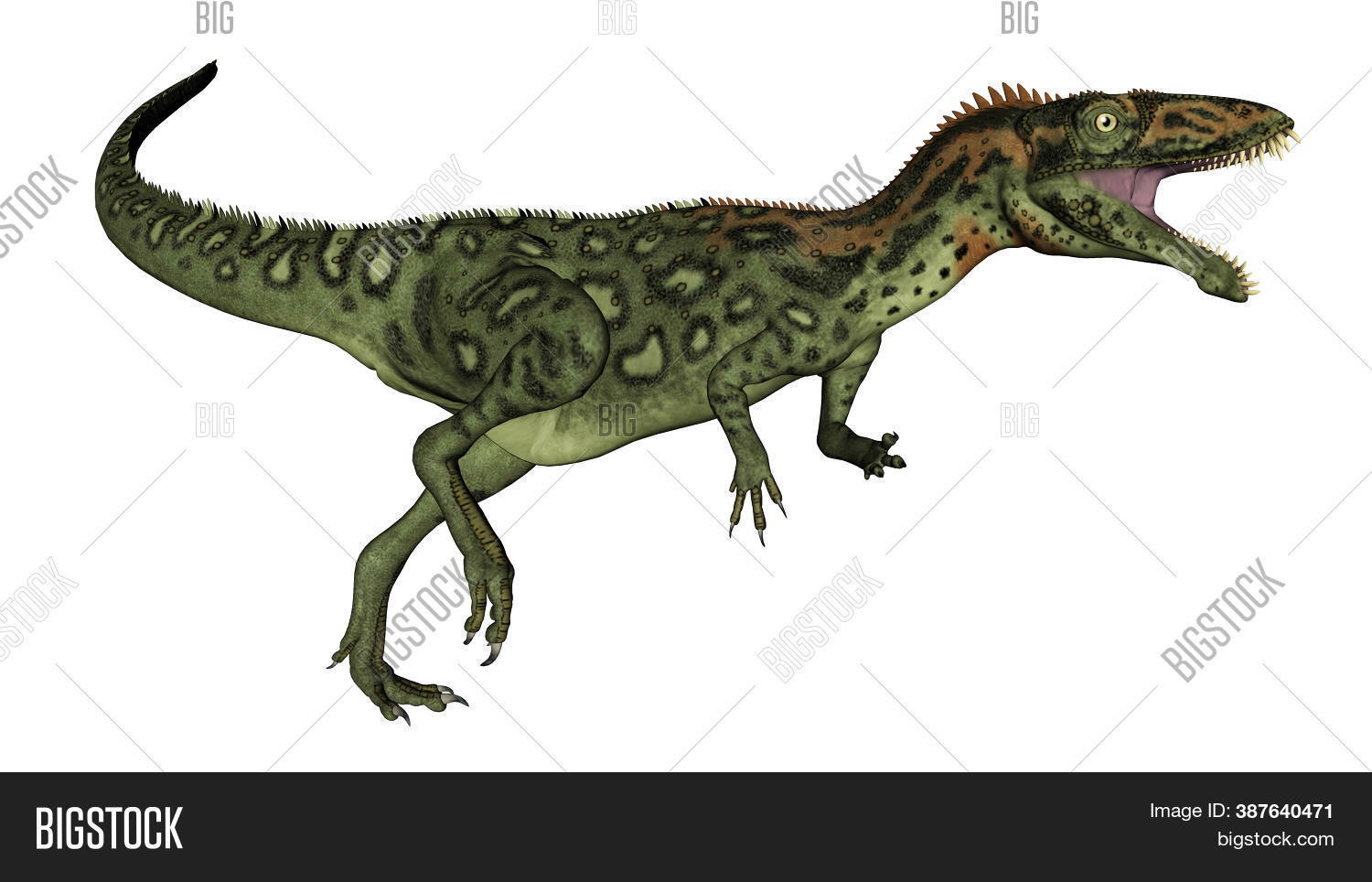 Masiakasaurus Dinosaur Image & Photo (Free Trial) | Bigstock