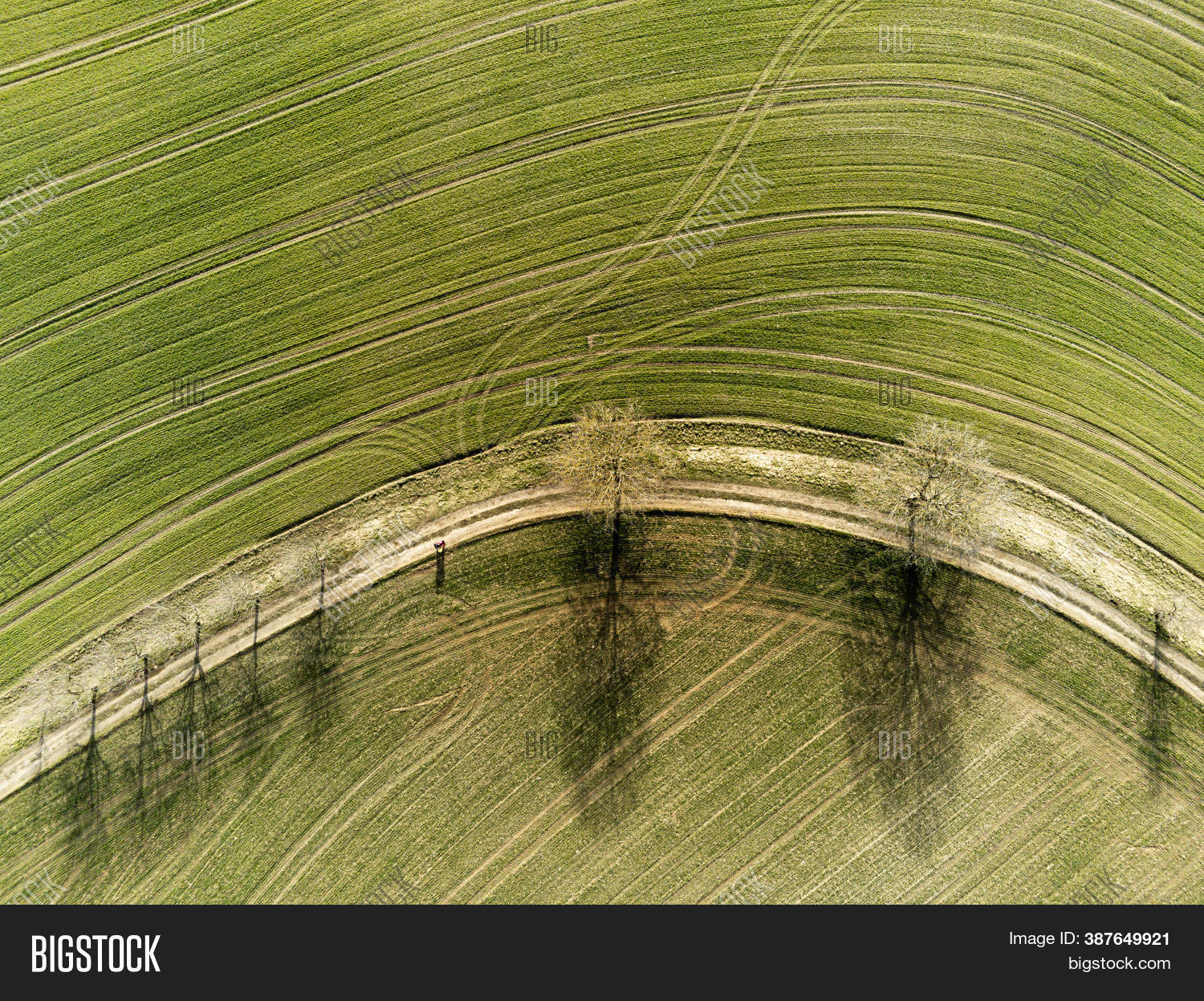 Top Down View On Field Image & Photo (Free Trial) | Bigstock