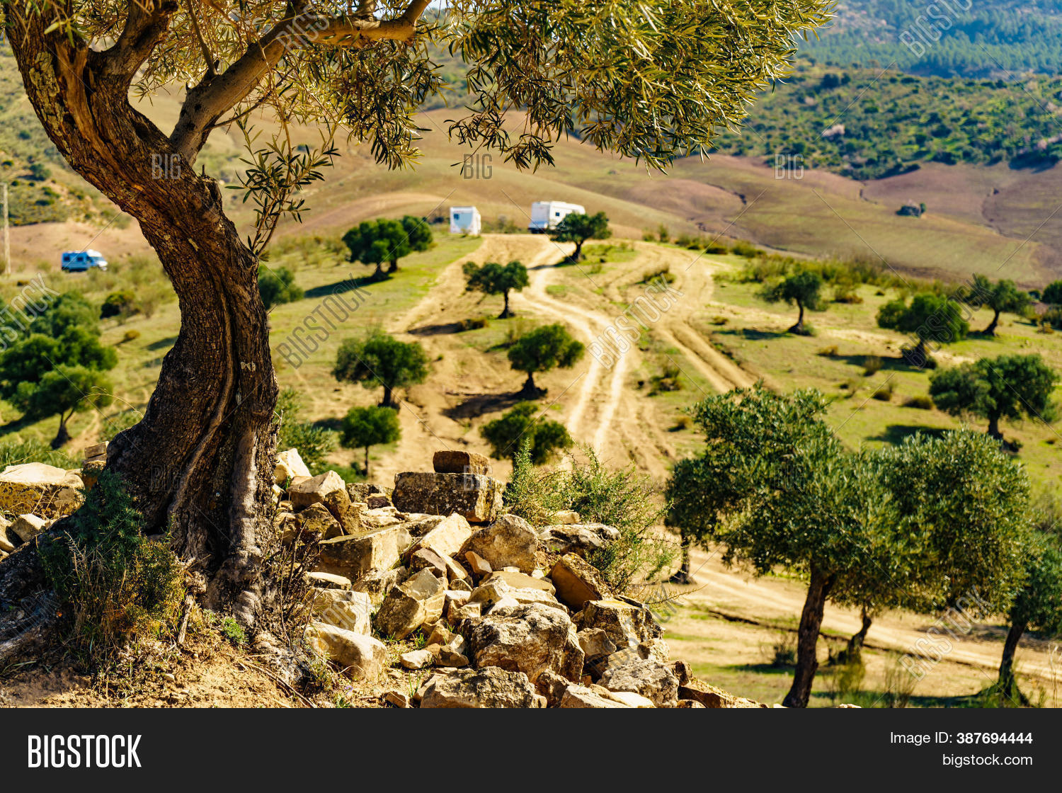 Spanish Nature Image & Photo (Free Trial) | Bigstock