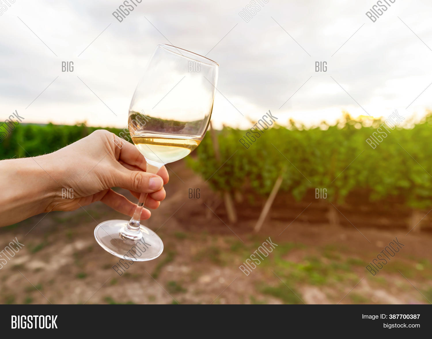 Close Glass White Wine Image & Photo (Free Trial) | Bigstock