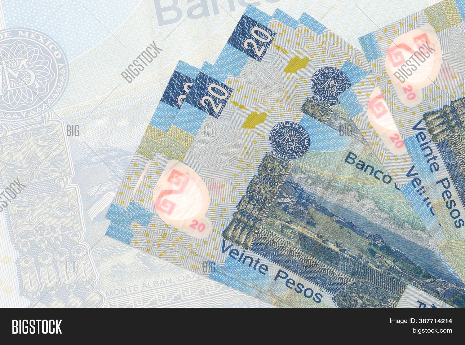 20 Mexican Pesos Bills Image & Photo (Free Trial) | Bigstock