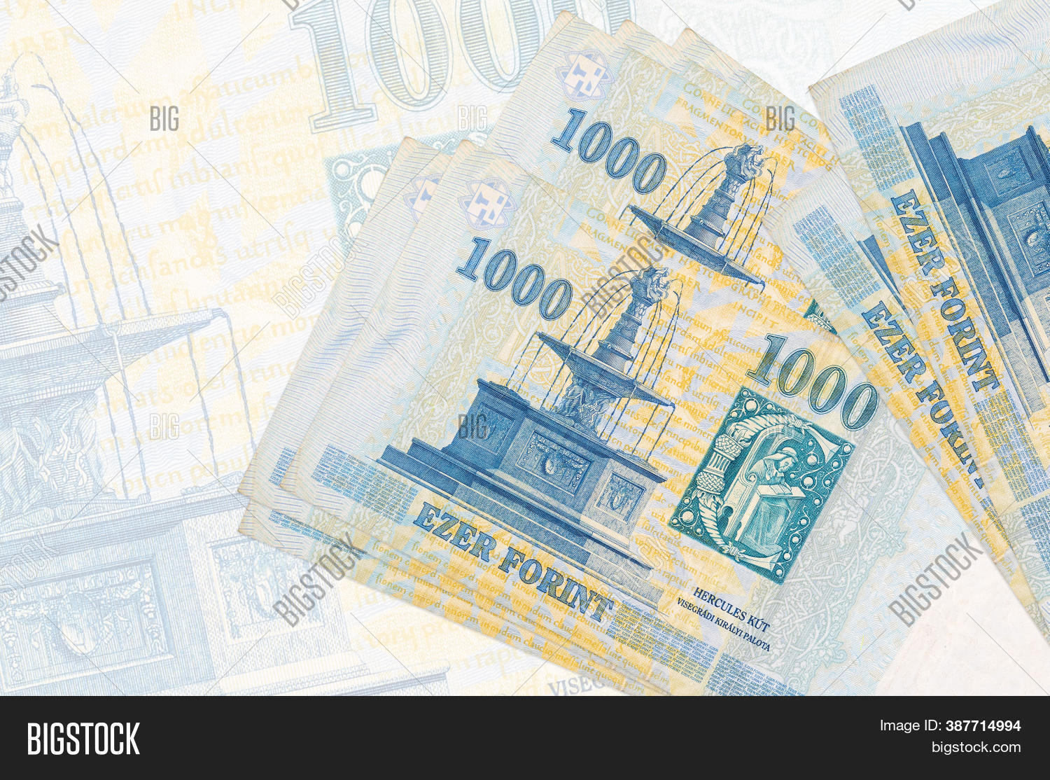 1000 Hungarian Forint Image & Photo (Free Trial) | Bigstock