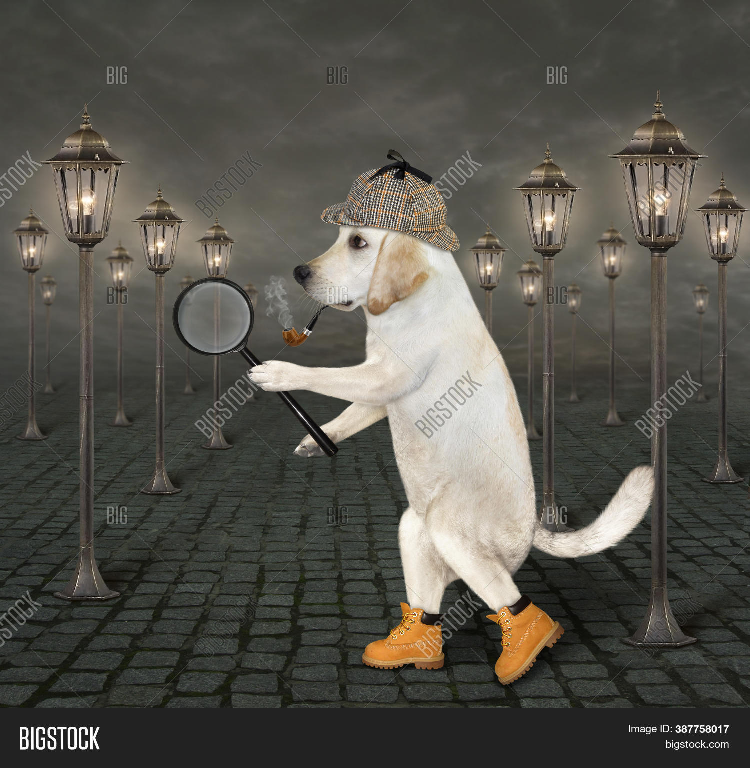 Dog Detective Plaid Image & Photo (Free Trial) | Bigstock