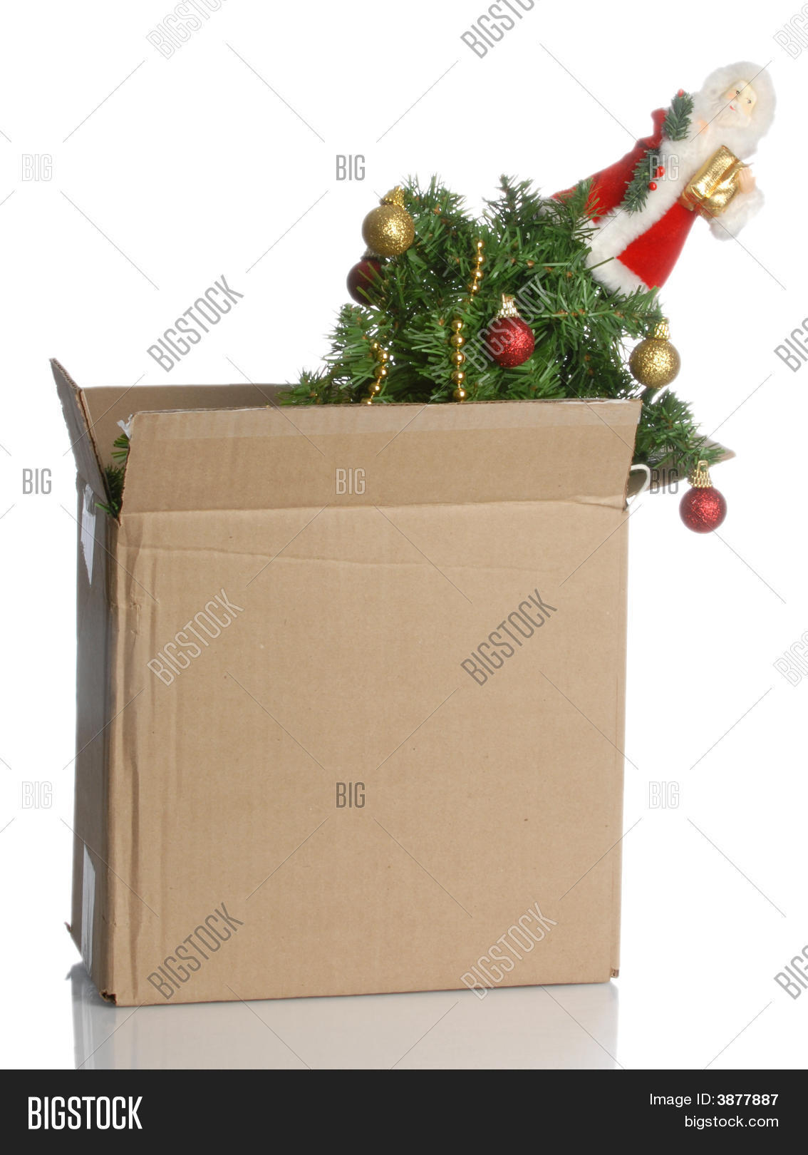 Christmas Tree Box Image & Photo (Free Trial) | Bigstock