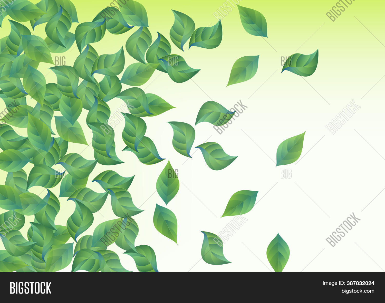 Swamp Leaf Fresh Green Image & Photo (Free Trial) | Bigstock