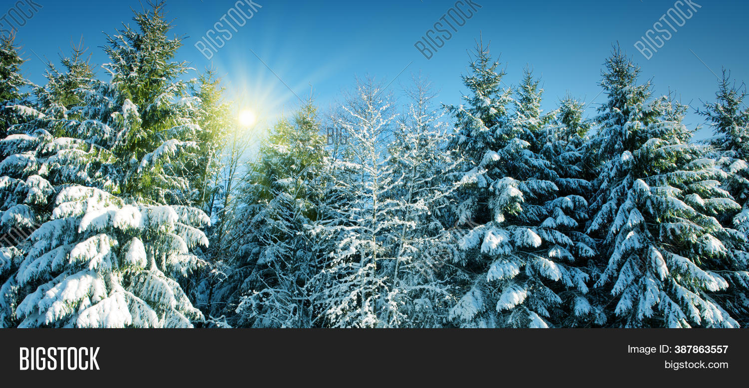 Christmas Holiday Image & Photo (Free Trial) | Bigstock