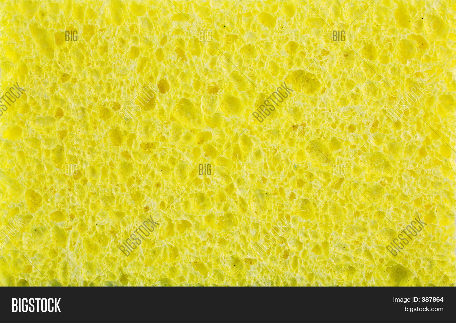 Yellow Sponge Image & Photo (Free Trial) | Bigstock
