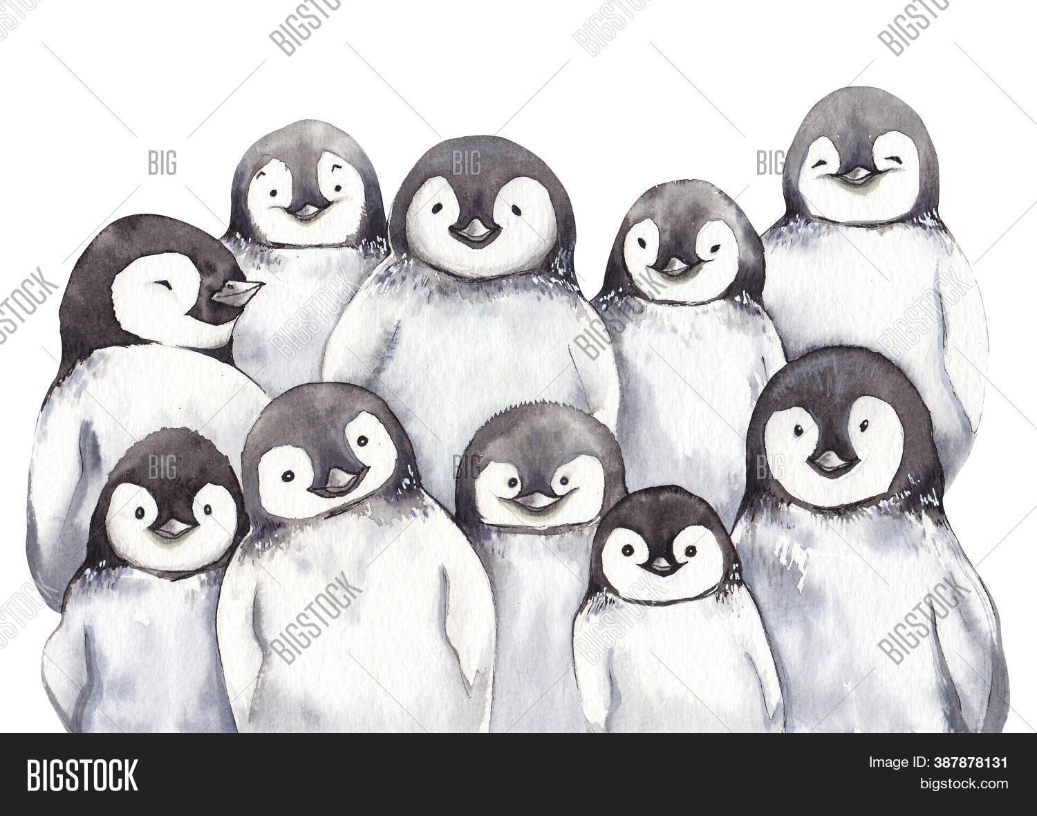 Cute Penguin Family. Image & Photo (Free Trial) | Bigstock