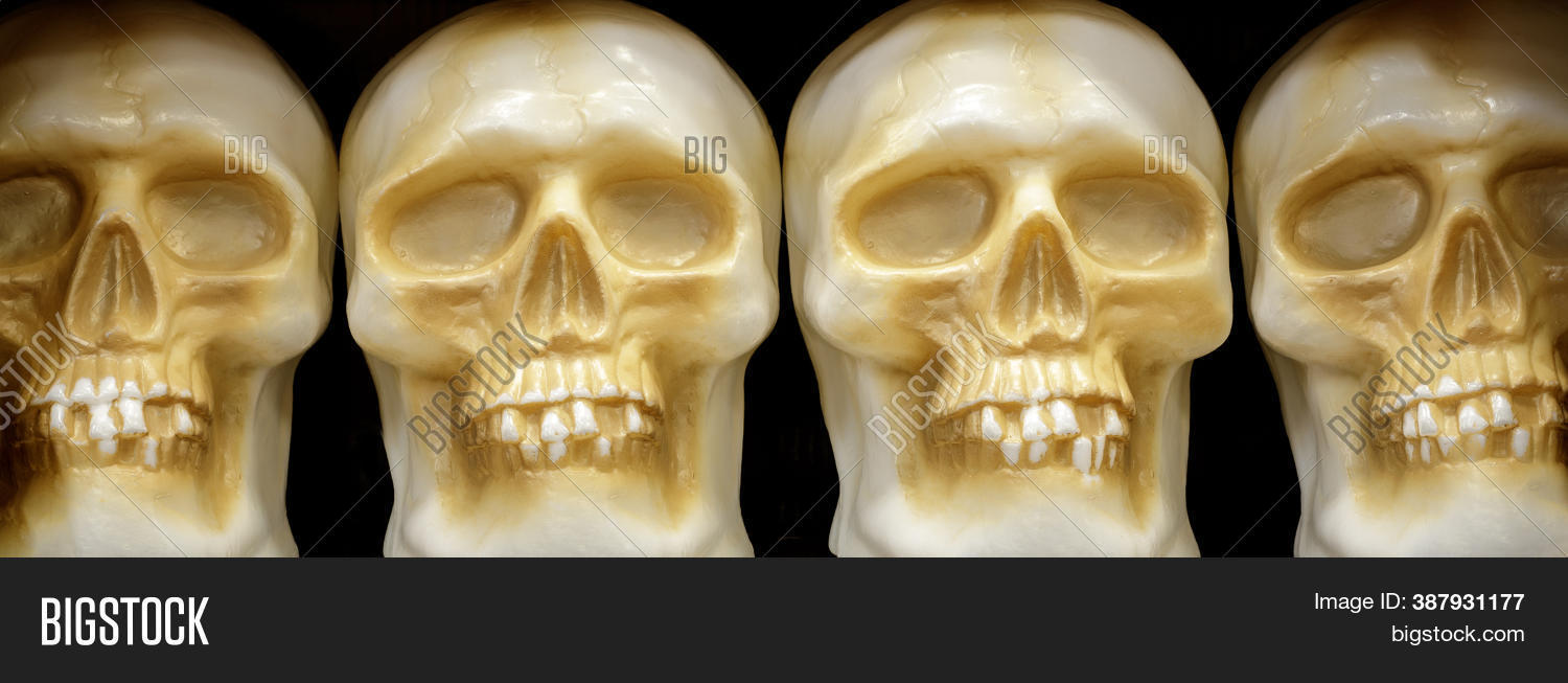 Creepy Skull Pathway Image & Photo (Free Trial) | Bigstock