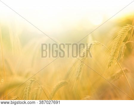 Colorful Natural Warm Image & Photo (Free Trial) | Bigstock