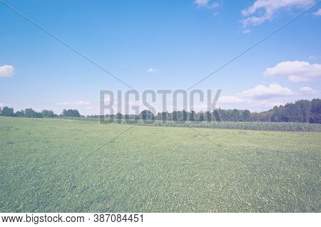 Deserted Fields Image & Photo (Free Trial) | Bigstock