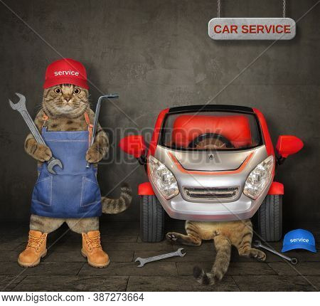 Cats Auto Mechanics Image & Photo (Free Trial) | Bigstock