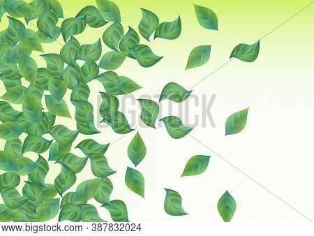 Swamp Leaf Fresh Green Image & Photo (Free Trial) | Bigstock