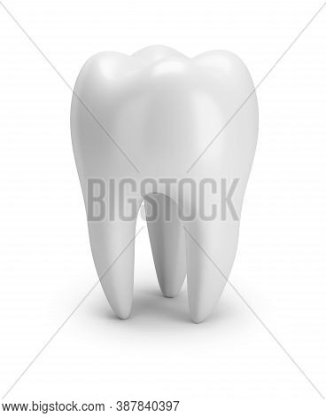Tooth. Three Roots Image & Photo (Free Trial) | Bigstock