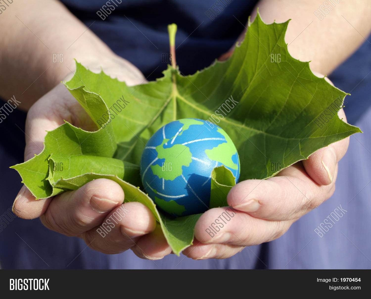 Environmental Image & Photo (Free Trial) | Bigstock