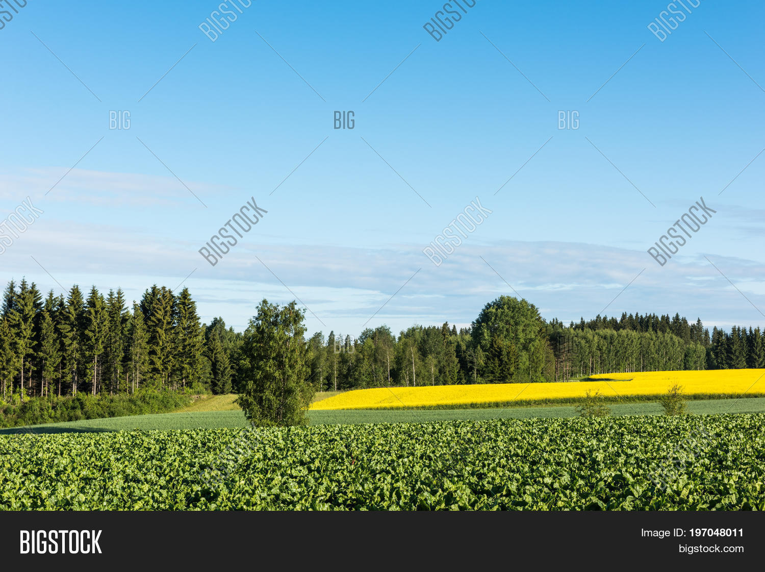 Field Countryside Image & Photo (Free Trial) | Bigstock