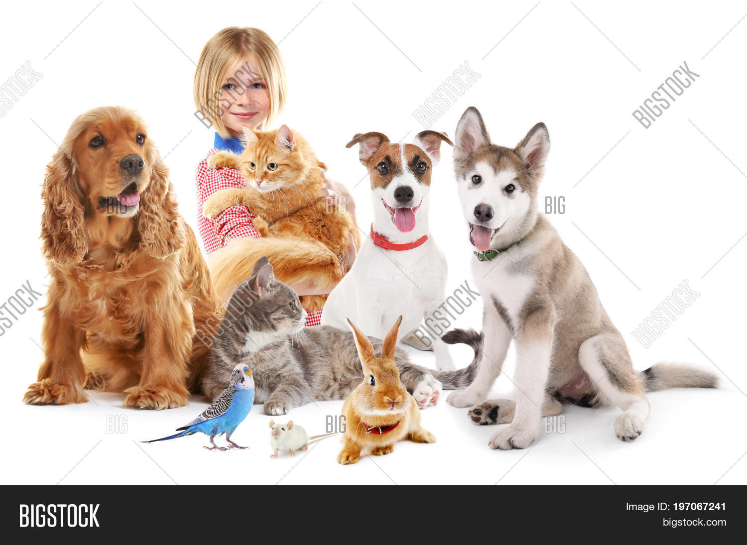 Happy Girl Cute Pets Image & Photo (Free Trial) | Bigstock