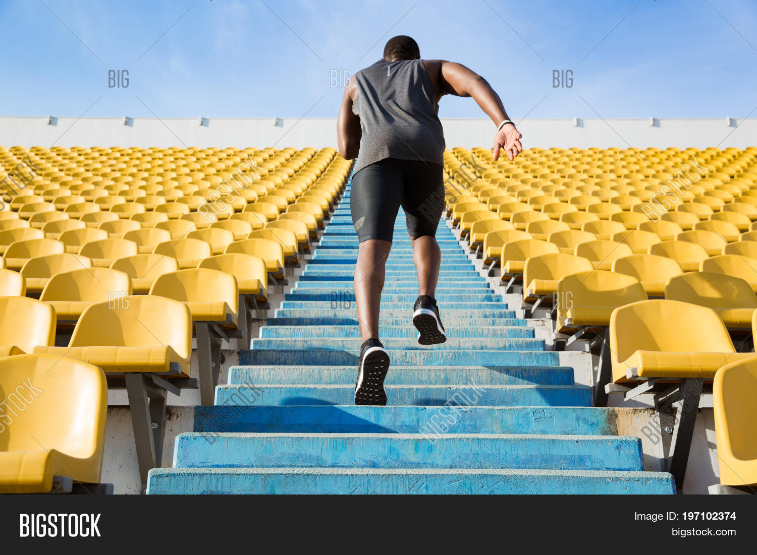 Back View Young Man Image & Photo (Free Trial) | Bigstock