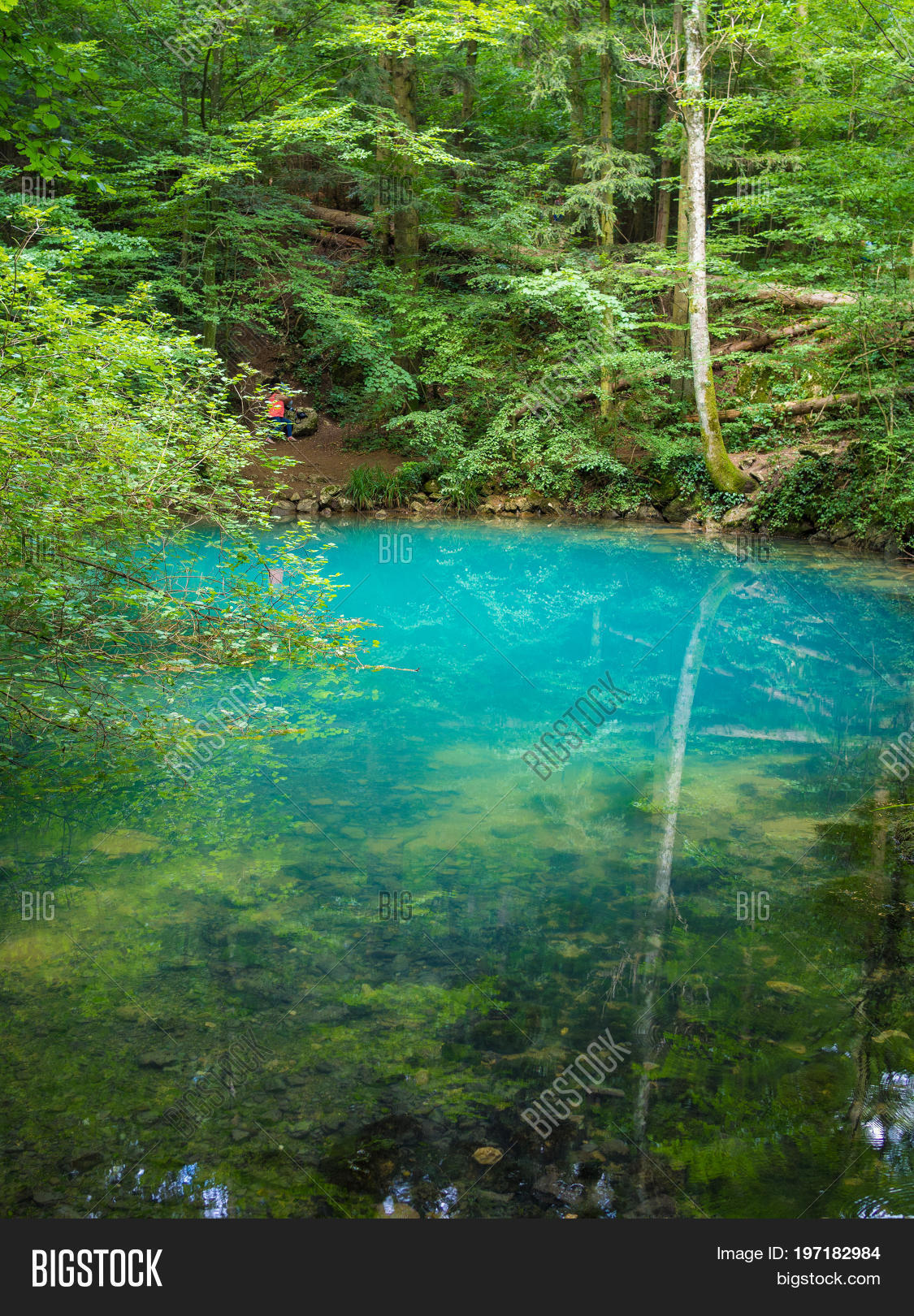 Beautiful Pond Woods, Image & Photo (Free Trial) | Bigstock