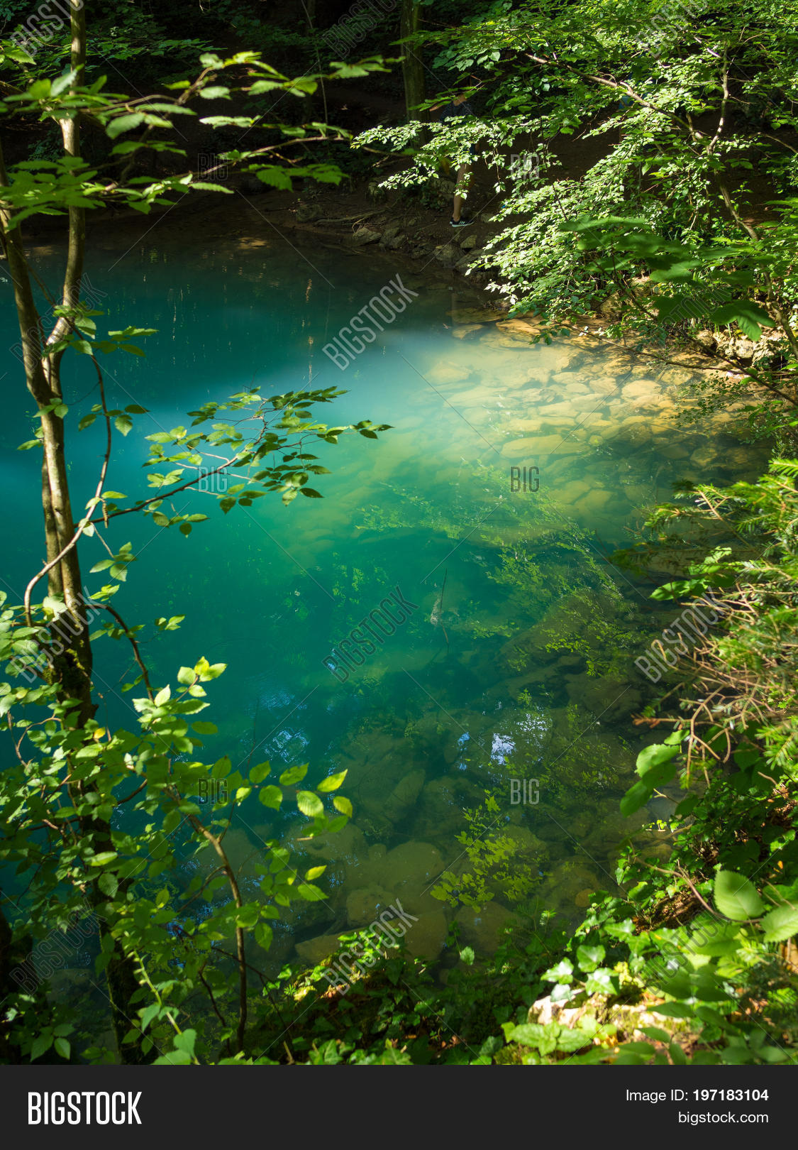 Beautiful Pond Woods, Image & Photo (Free Trial) | Bigstock