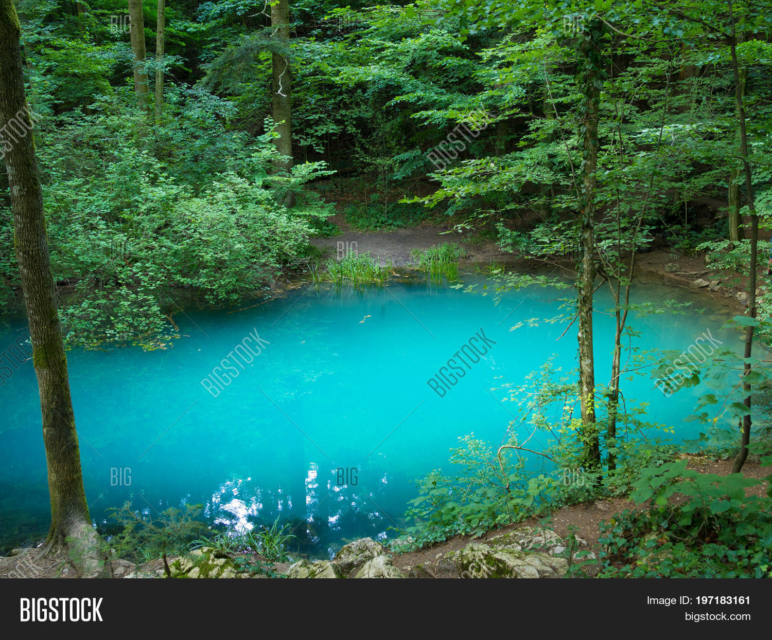 Beautiful Pond Woods, Image & Photo (Free Trial) | Bigstock