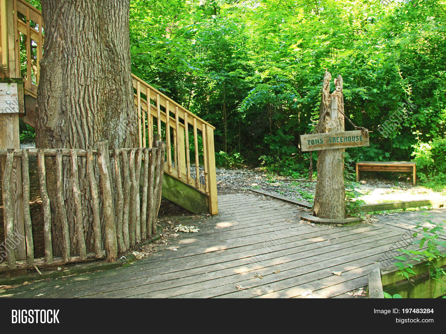 Imagen y foto Sign Post Steps Tom (prueba gratis) | Bigstock