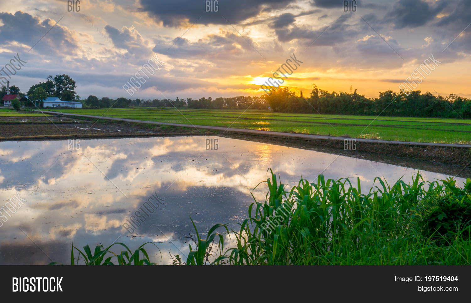 Sun Rise Water Image & Photo (Free Trial) | Bigstock